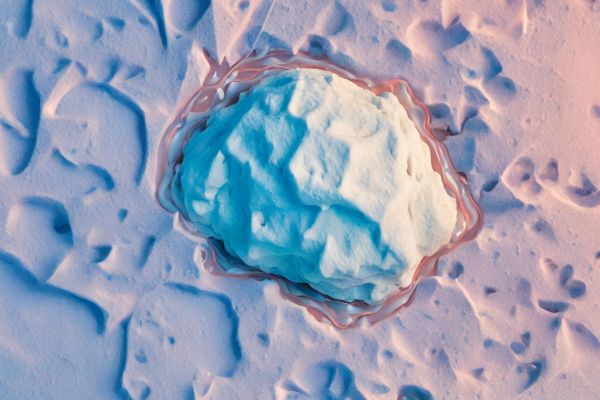 Zombie Viruses and Global Warming: A Tale of Permafrost and Pandemics